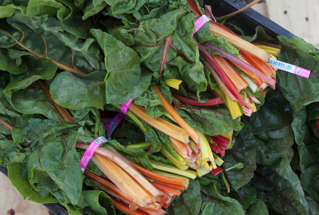 Eat Local Think Global