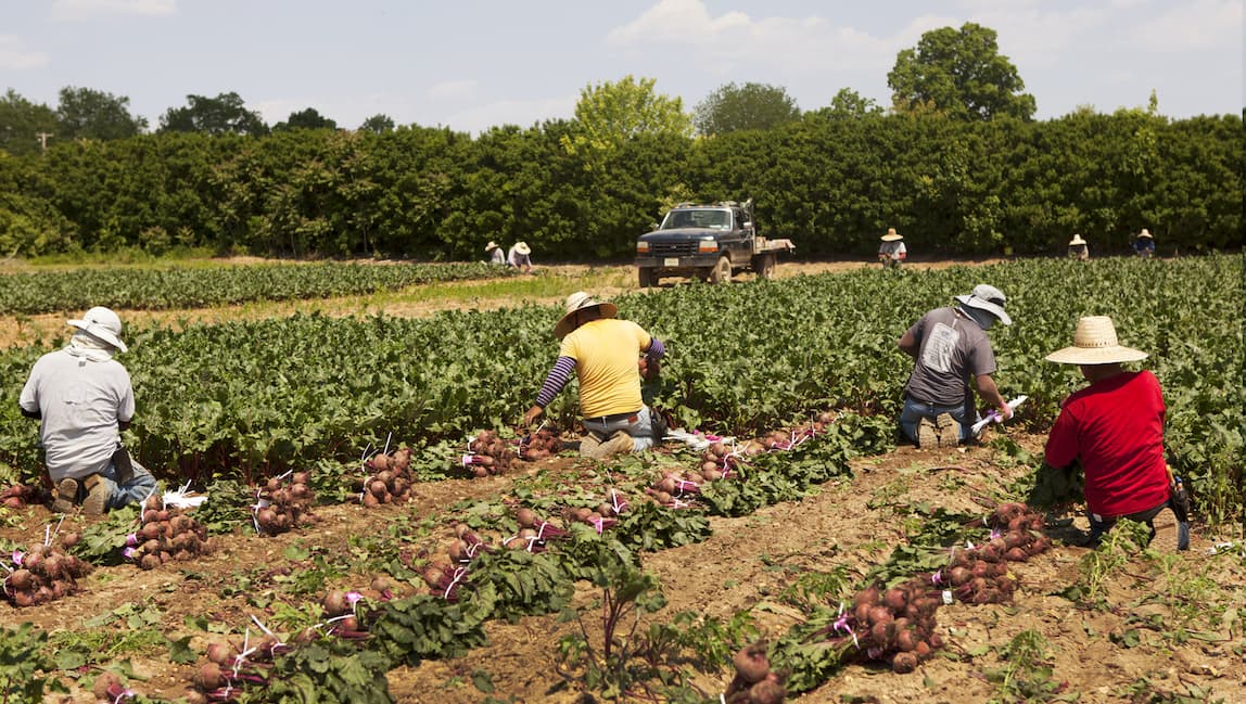 Eat Local Think Global