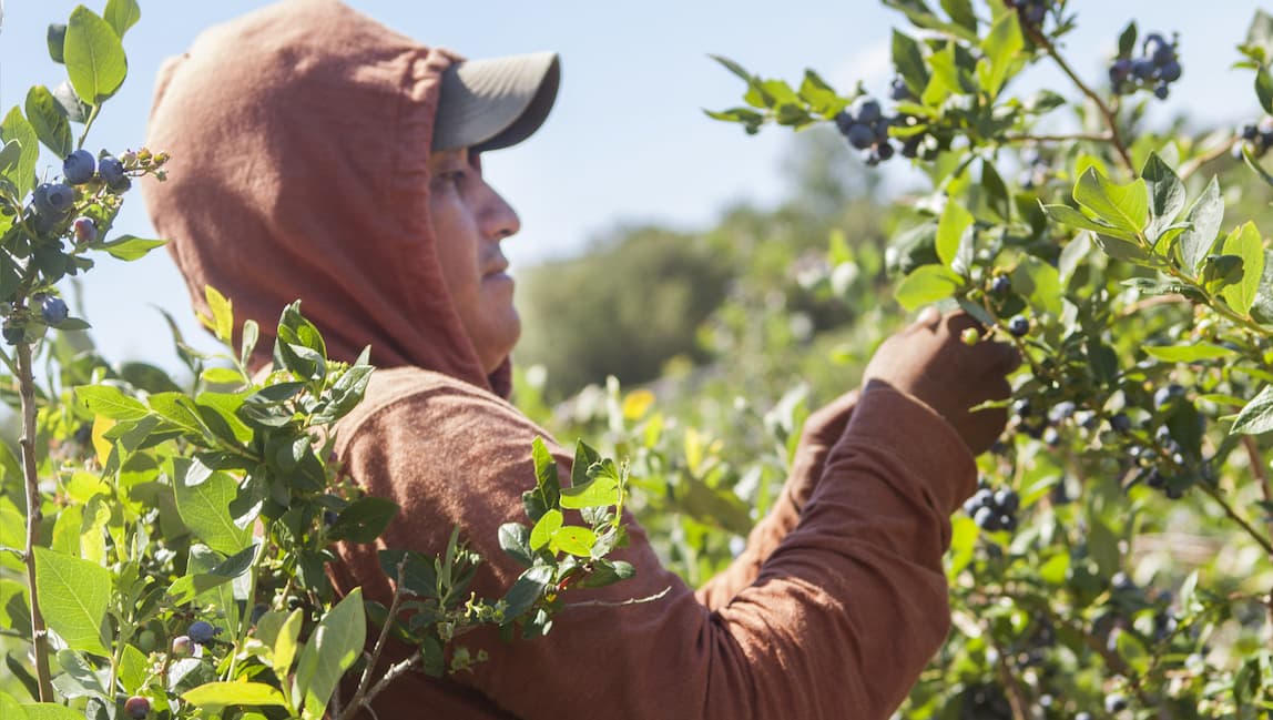 Eat Local Think Global