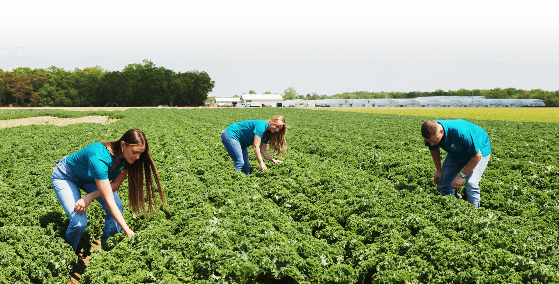 Eat Local Think Global