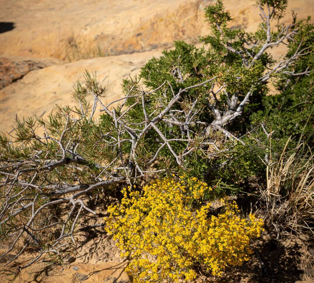 Nature off the beaten path