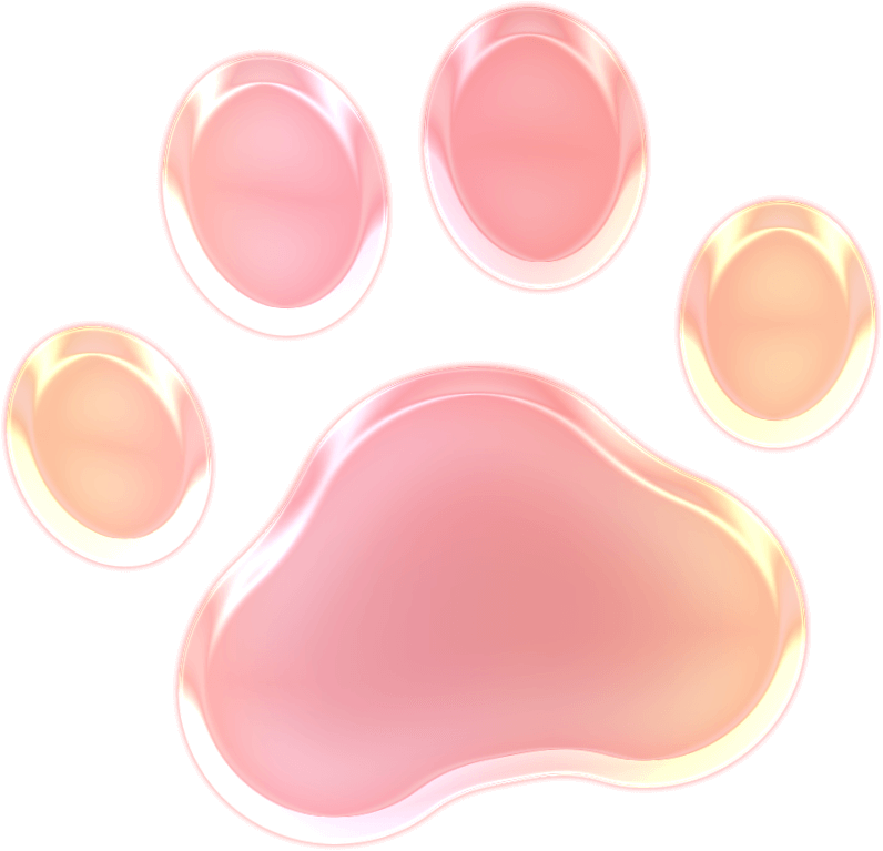 What’s your pet’s environmental pawprint