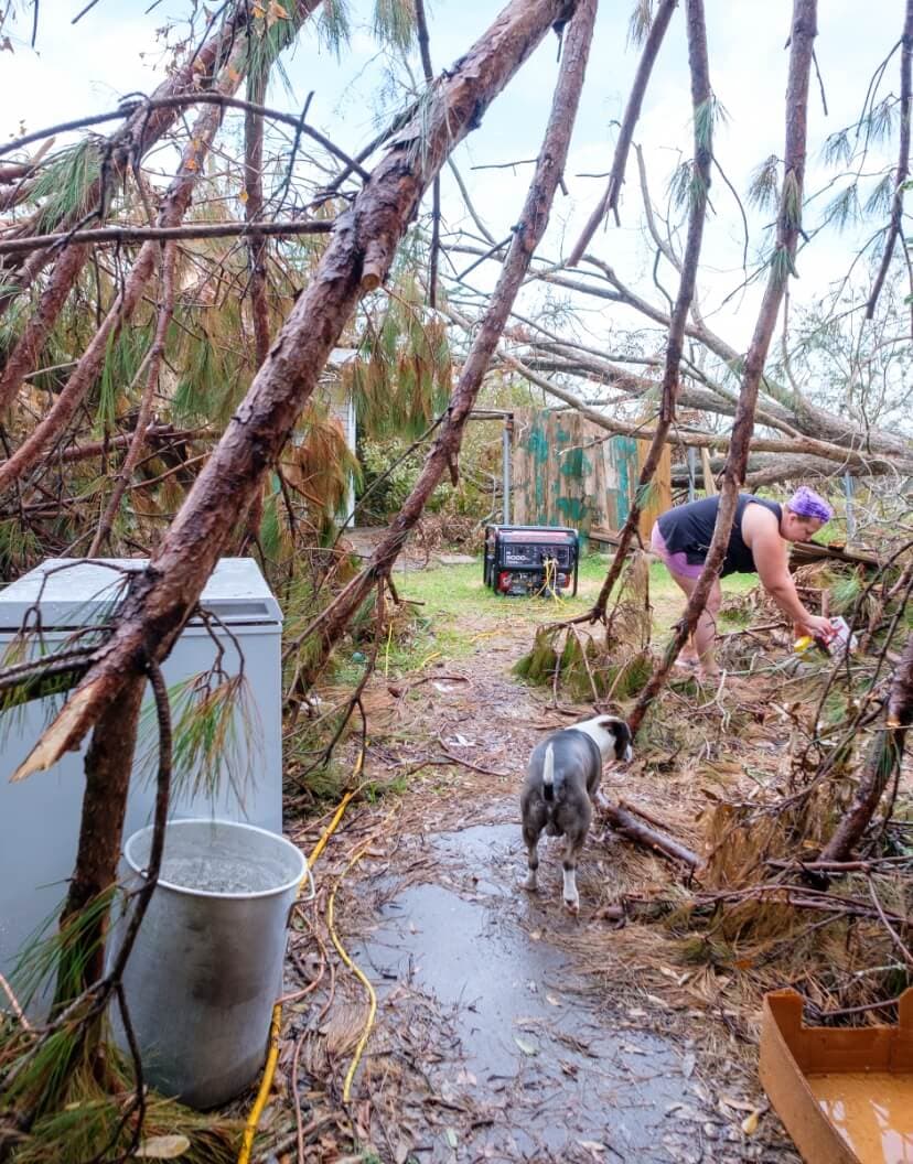 Rebuilding with Resilience