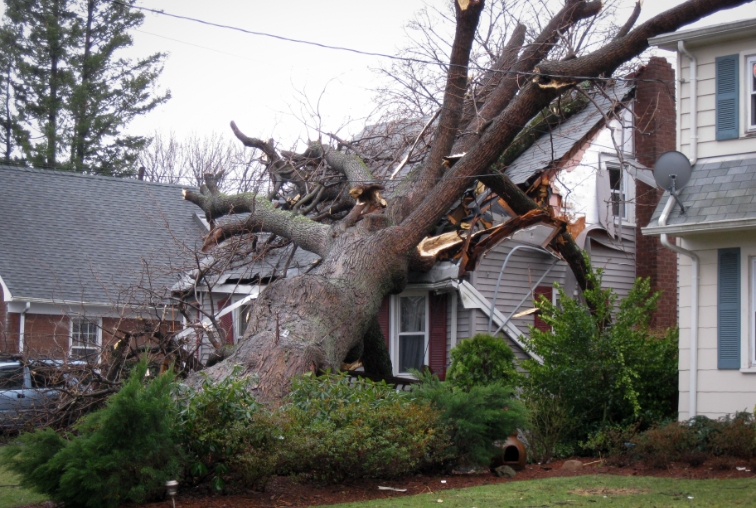 Weathering the Storm