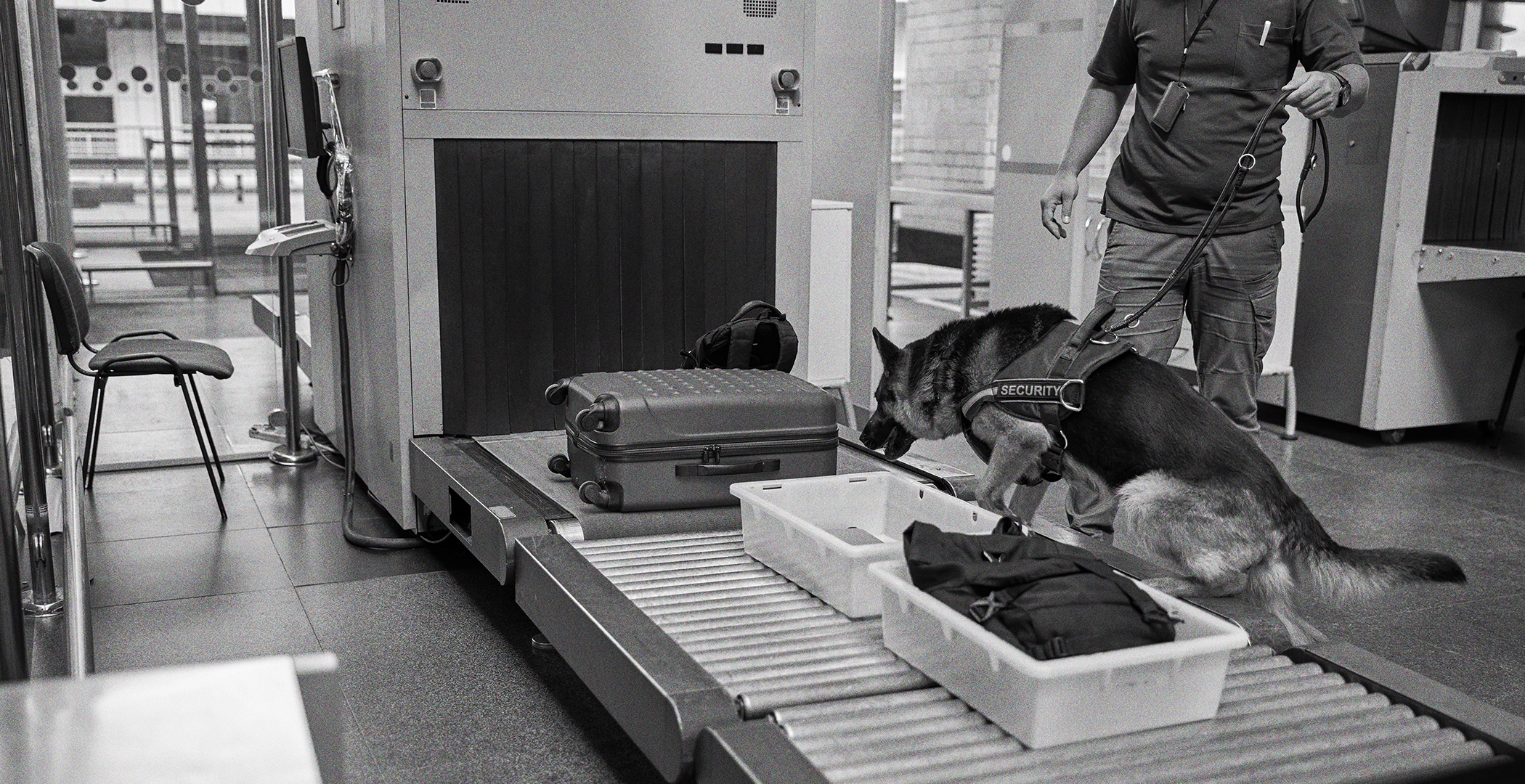 Here’s how we can stop the multibillion-dollar trade in illegal goods ...