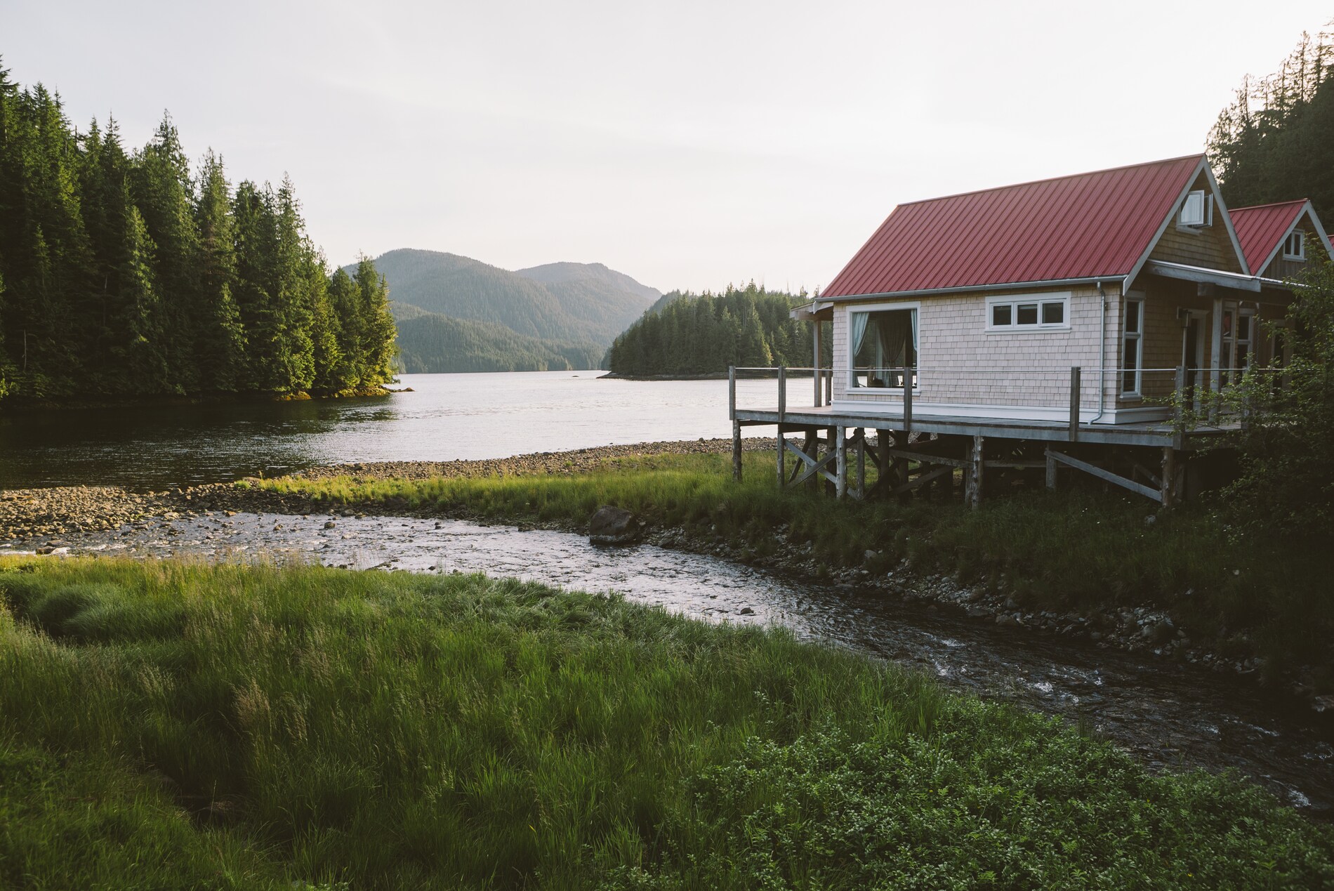 Going wild in Western Canada