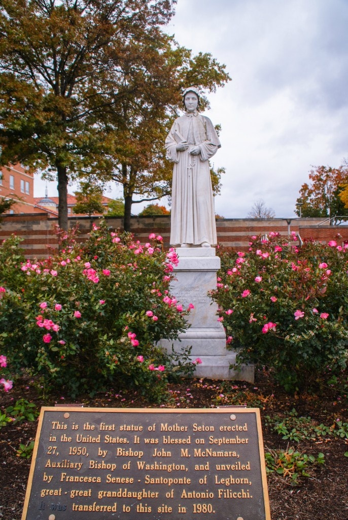 From socialite to saint: The story of the first U.S.-born saint